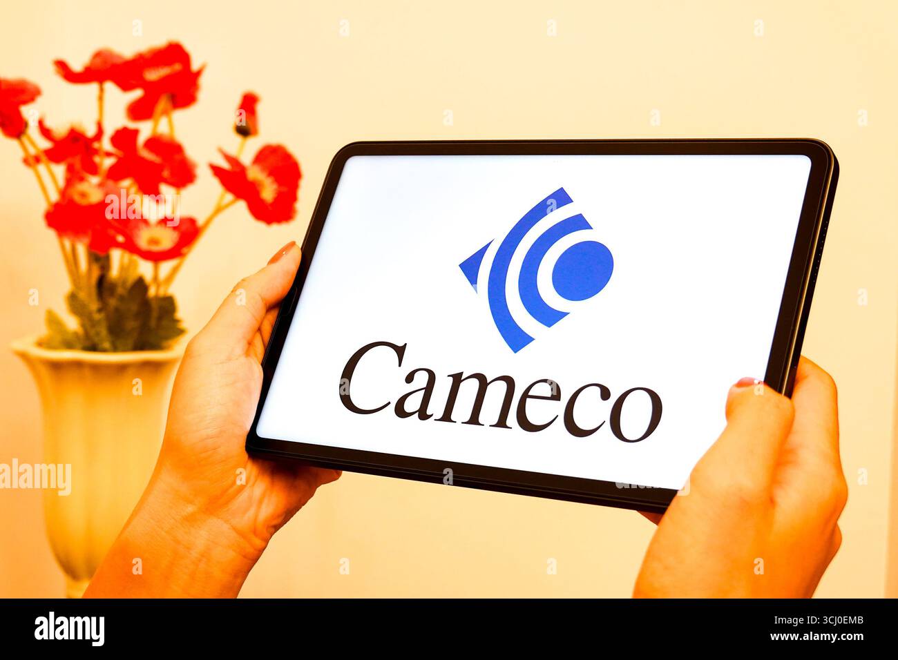 In this photo illustration, the logo of Cameco Corporation is displayed ...