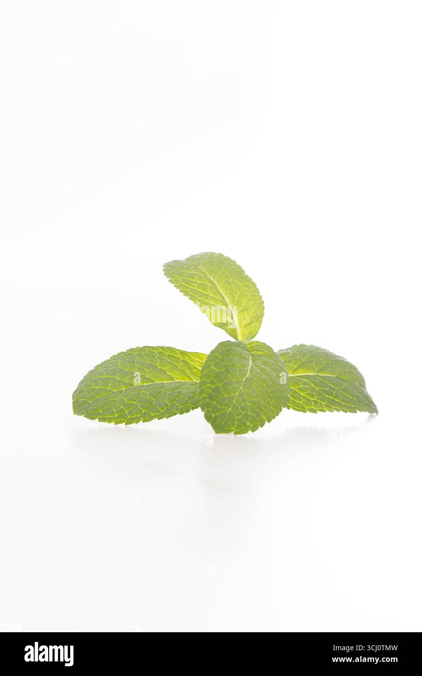 Background image in soft Cut Out Stock Images & Pictures - Alamy