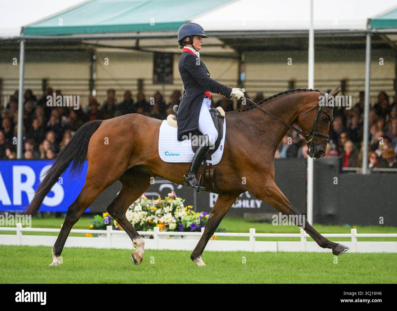 Horse mcs maverick hi-res stock photography and images - Alamy