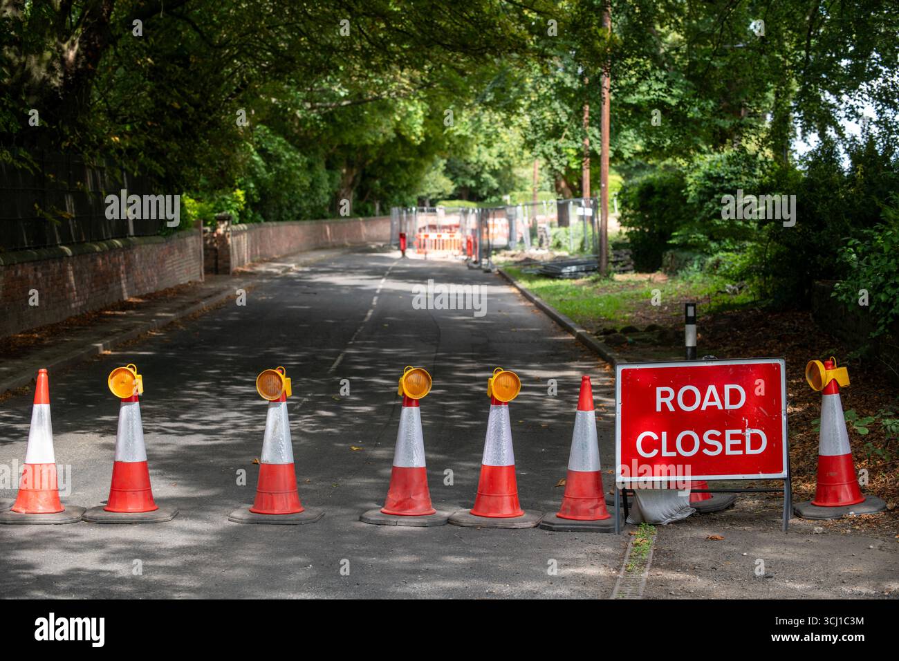 Red road closed sign with traffic cones blocking a street under tree ...