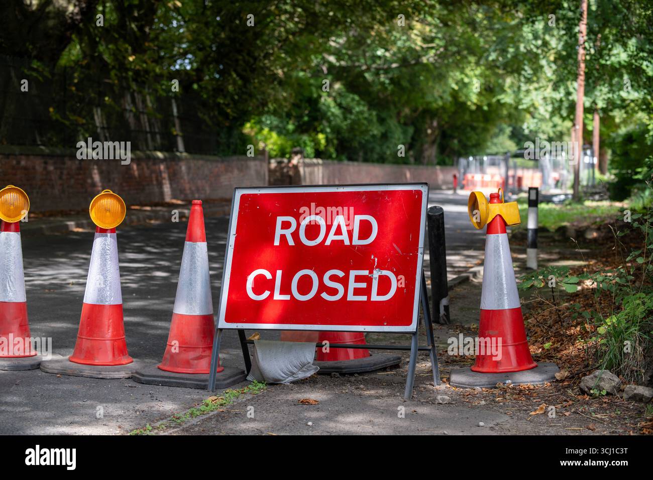 Red road closed sign with traffic cones blocking a street under tree ...