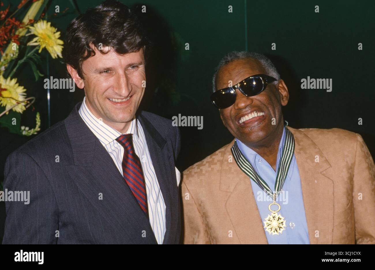 Commandeur des arts et des lettres hi-res stock photography and images ...