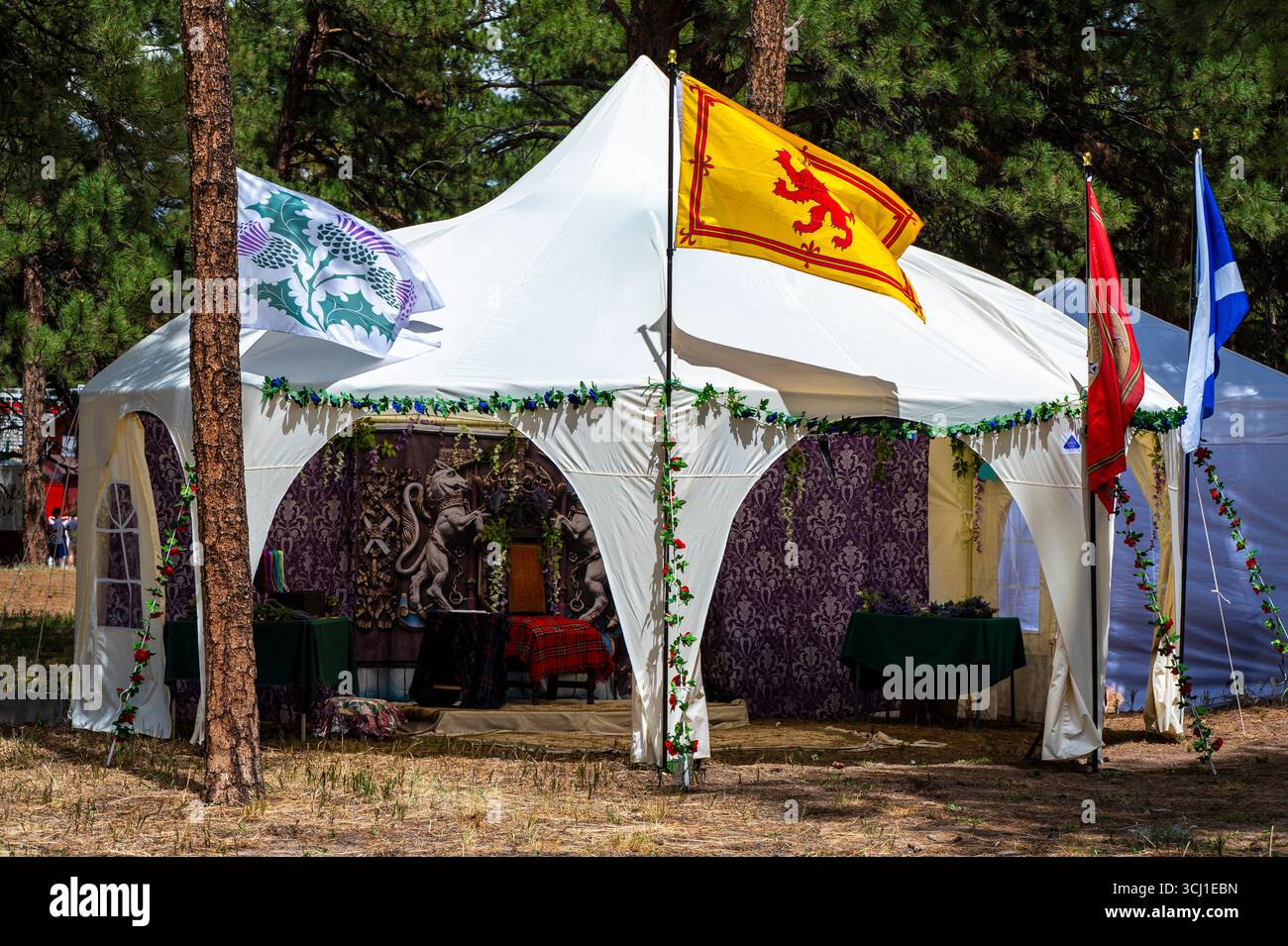 Scottish flags hi-res stock photography and images - Alamy