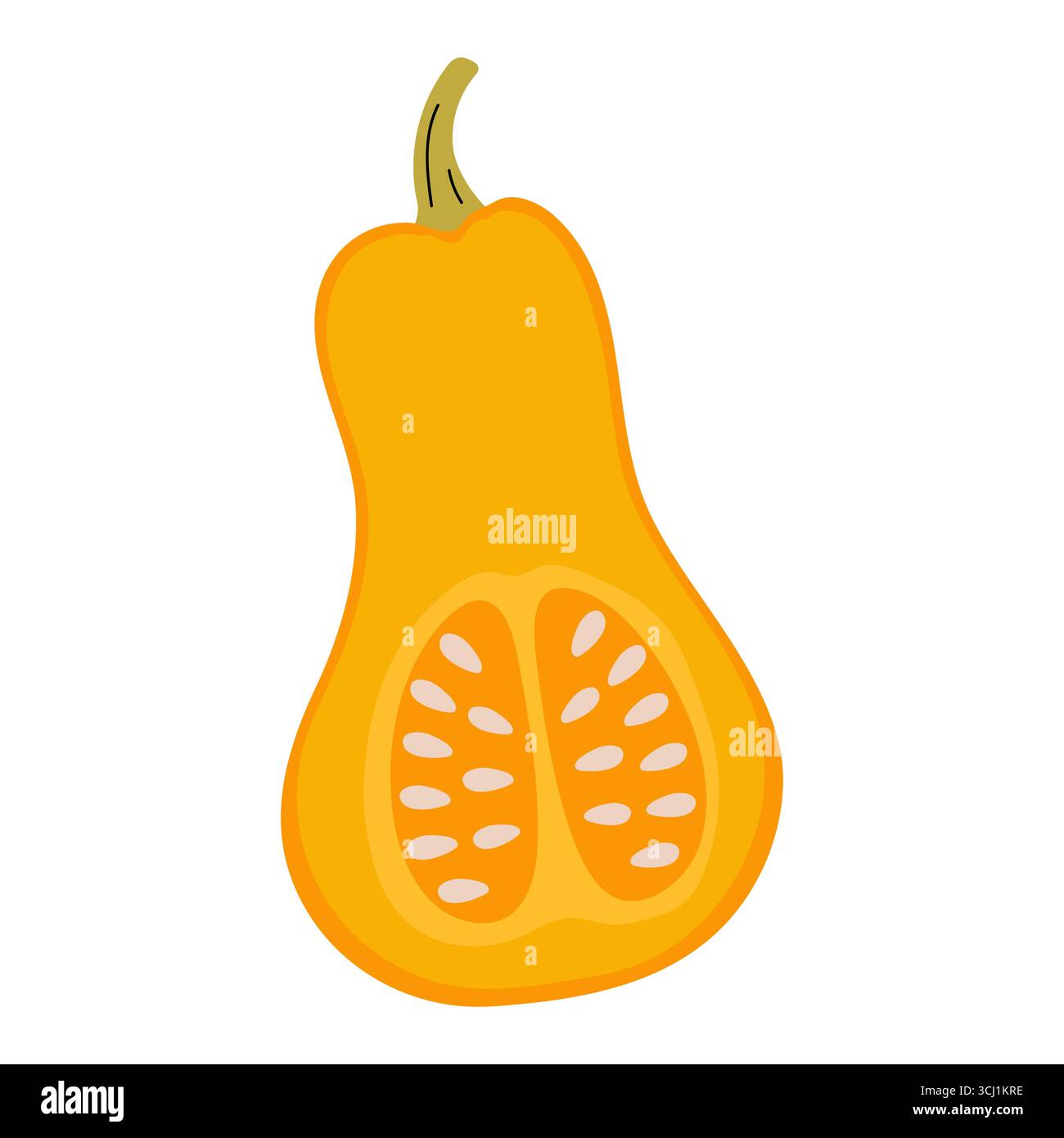 A vibrant butternut squash sliced in half showcases its orange flesh ...