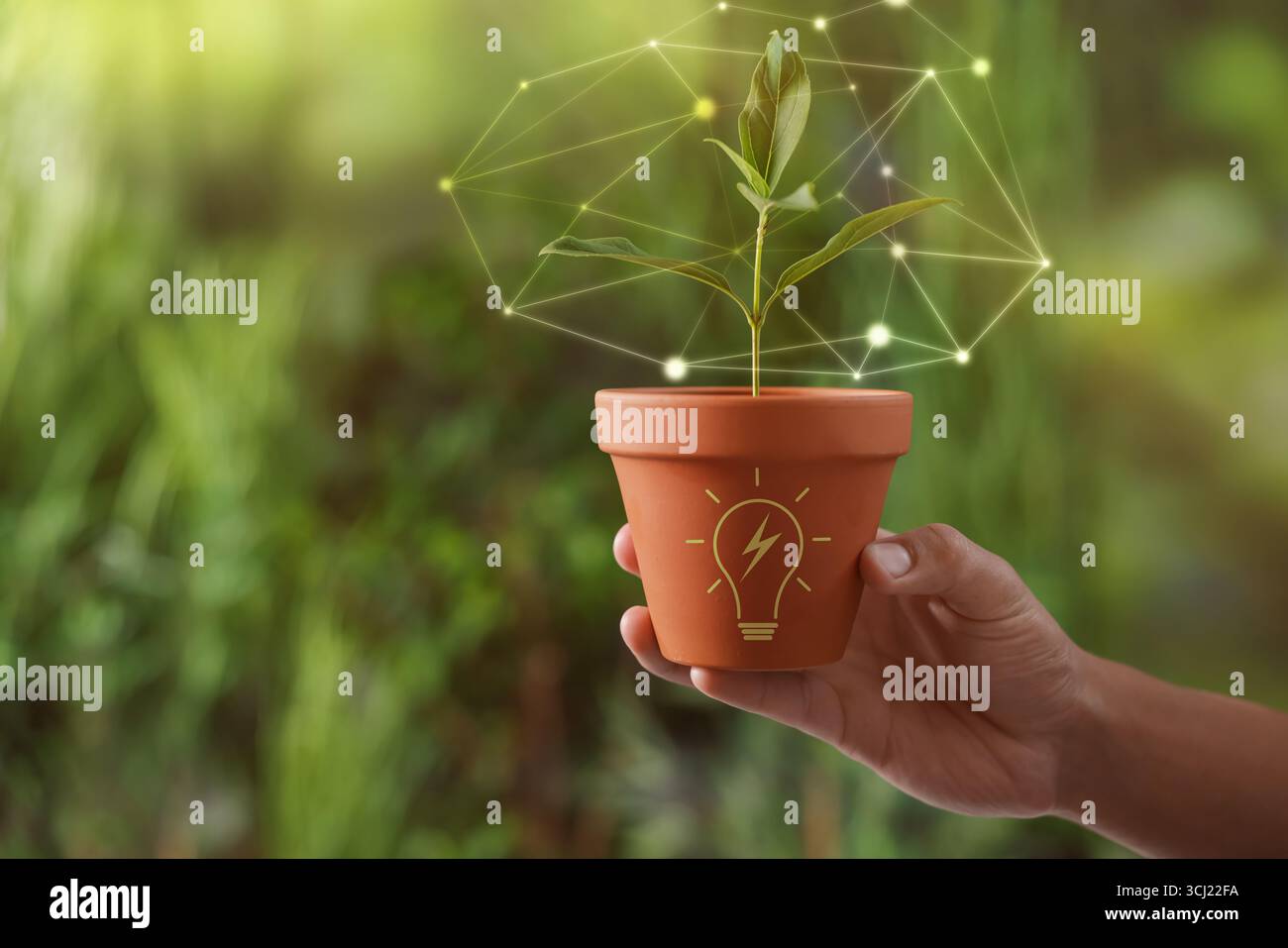Electricity and nature. Man holding potted plant against blurred green ...