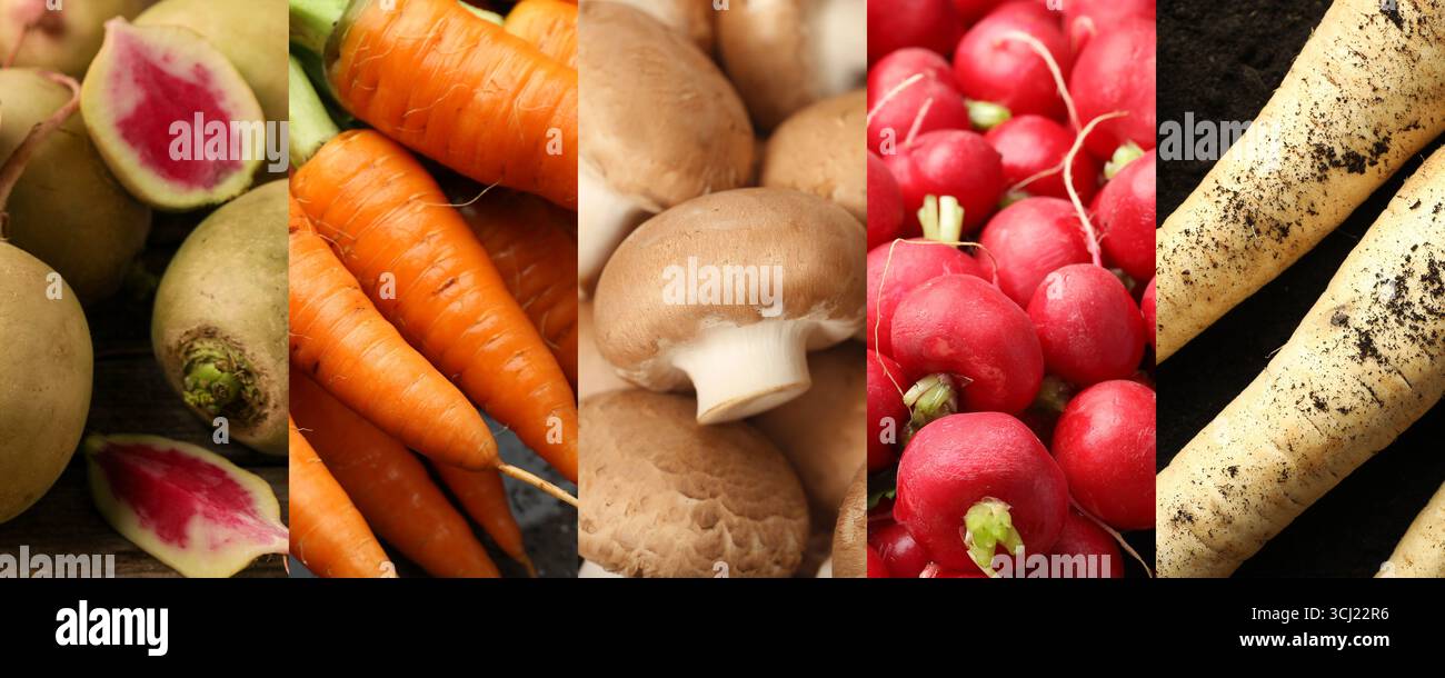 Collection of food products with earthy taste, collage Stock Photo - Alamy