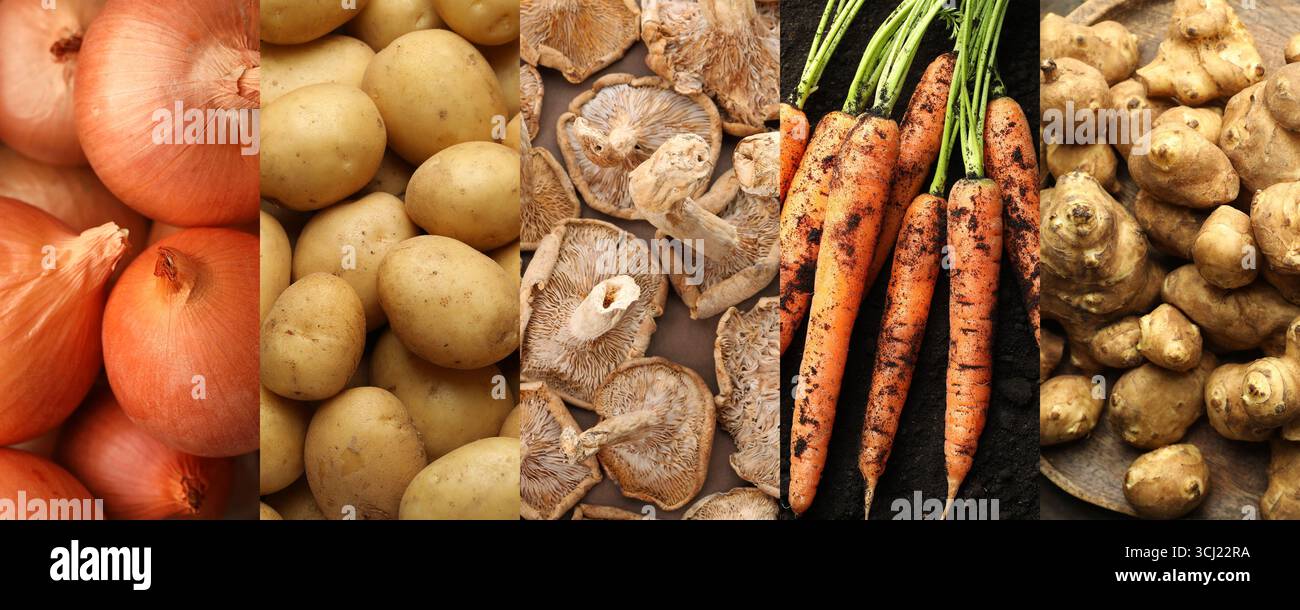 Collection of food products with earthy taste, collage Stock Photo - Alamy