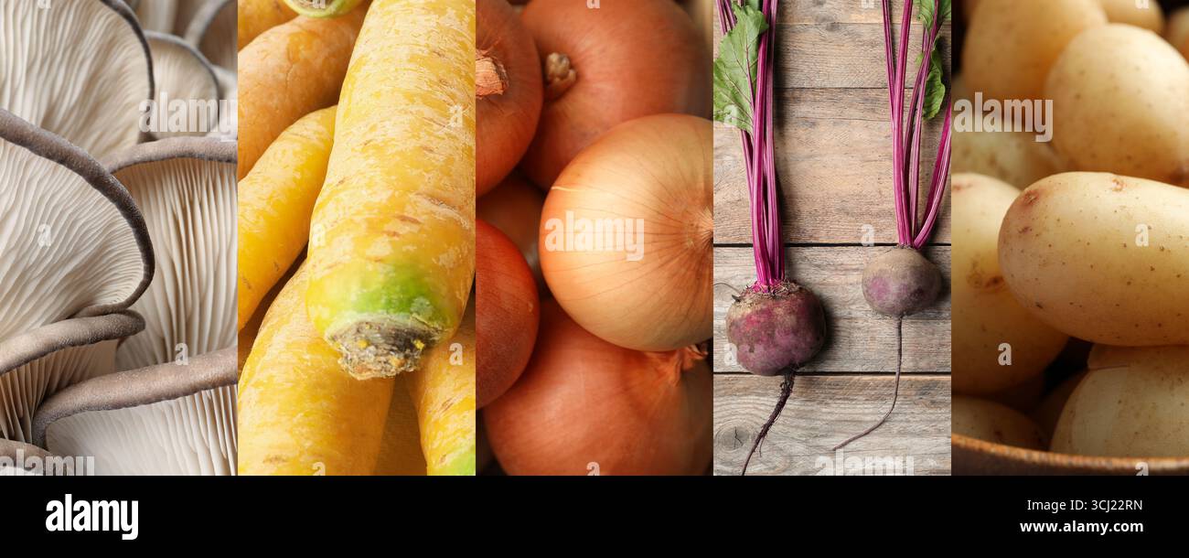 Collection of food products with earthy taste, collage Stock Photo - Alamy