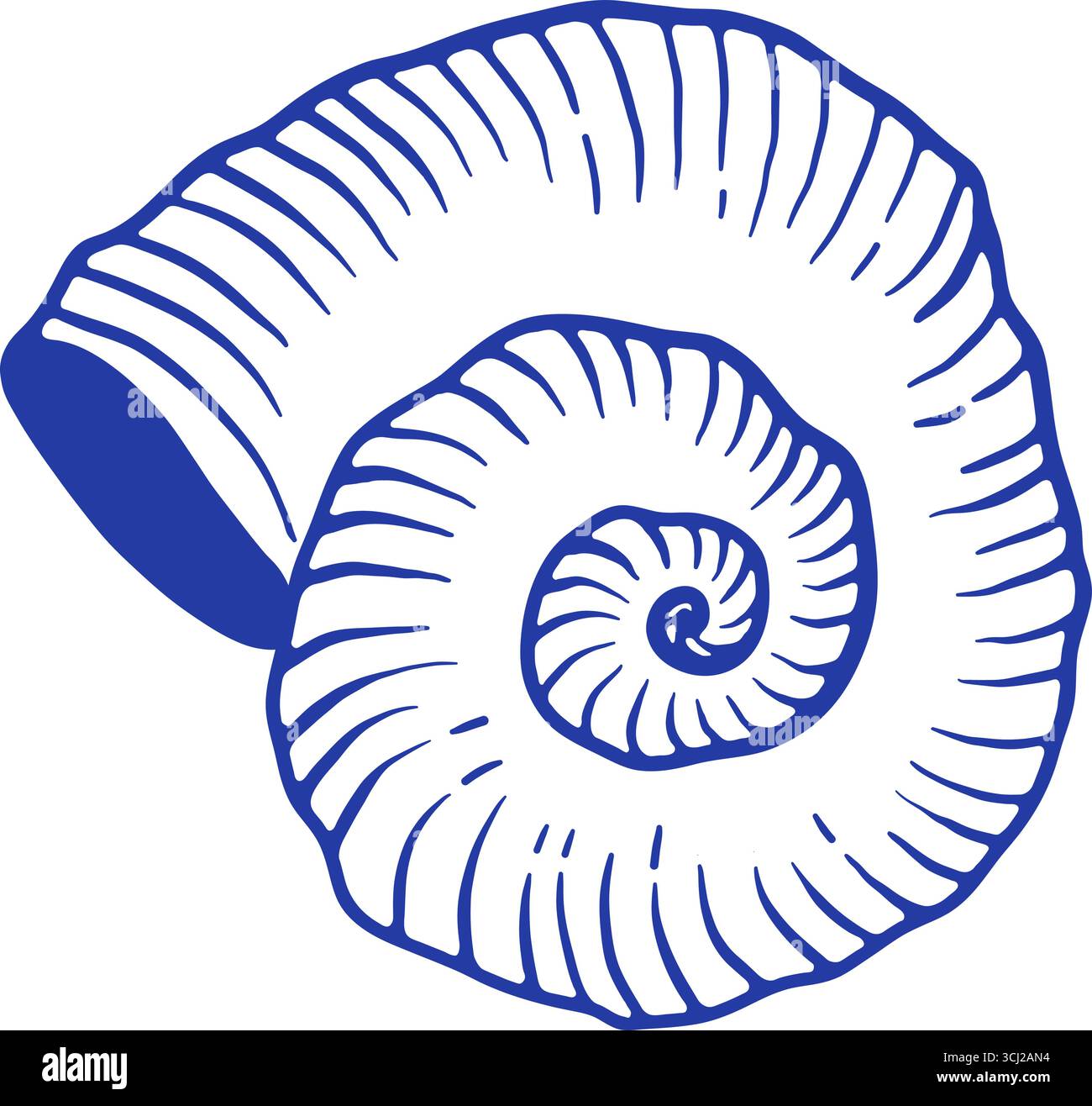 Blue Seashell hand draw vector illustration. Spiral mollusc doodle icon ...