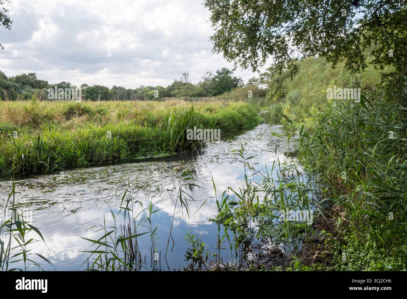 Rivers of norfolk hi-res stock photography and images - Alamy