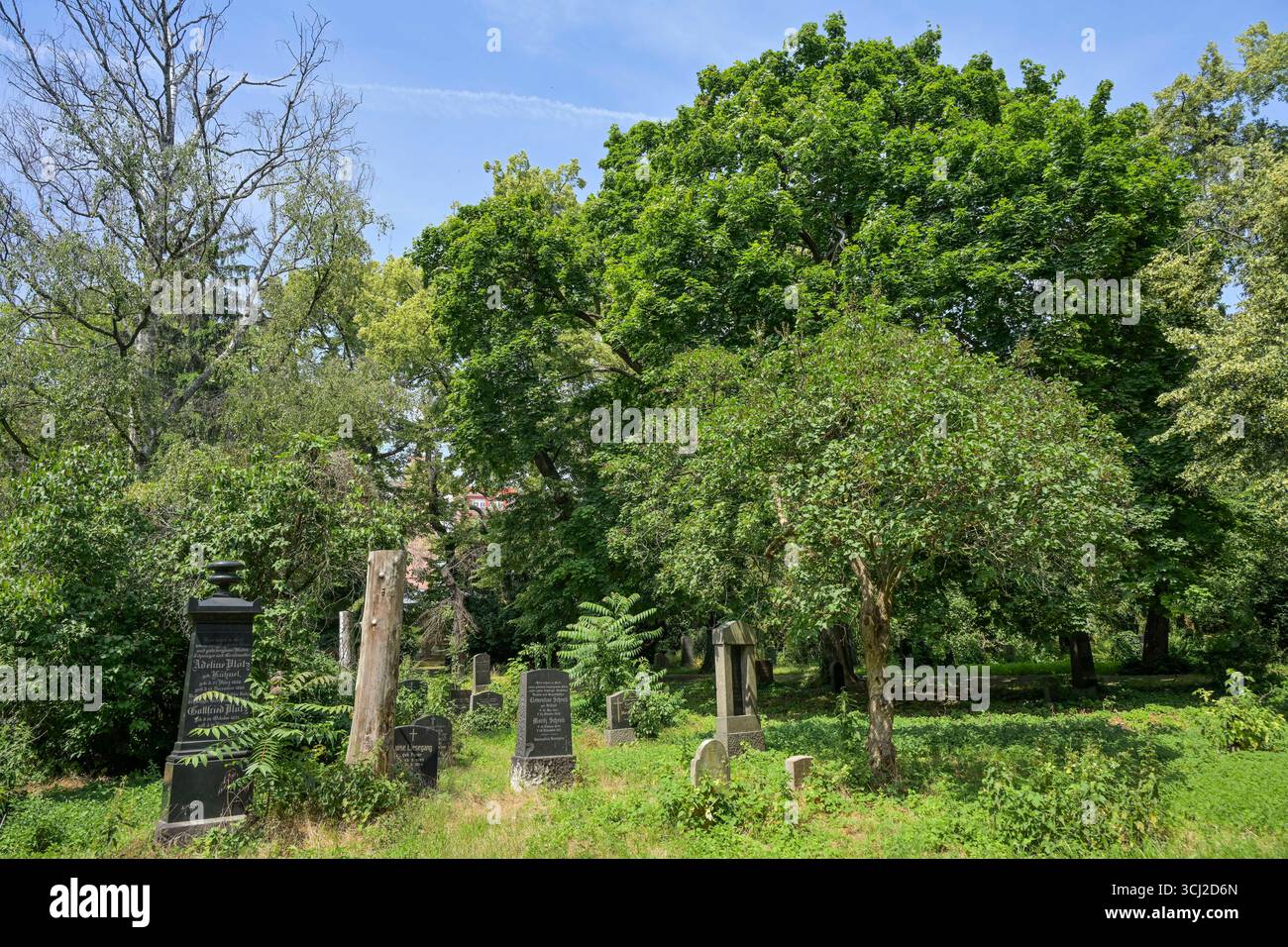 St. Nicolai- und St. Marien-Friedhof, Prenzlauer Allee, Prenzlauer Berg ...