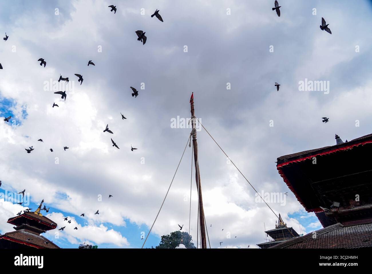 Lingo installation hi-res stock photography and images - Alamy