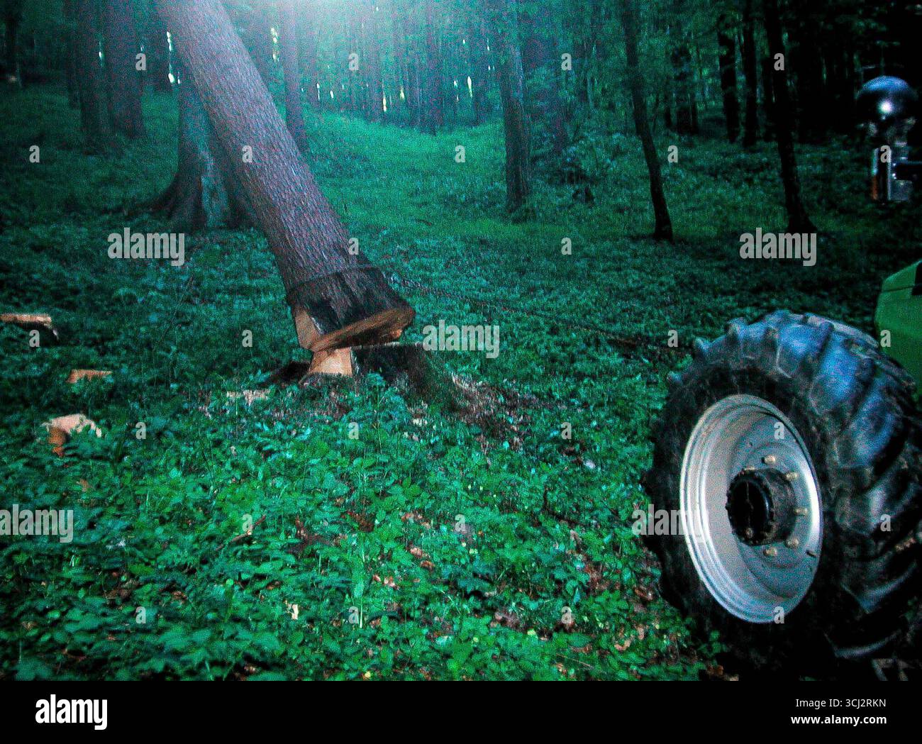 Tractor and heavy machinery in logging and forestry Tractor and heavy ...
