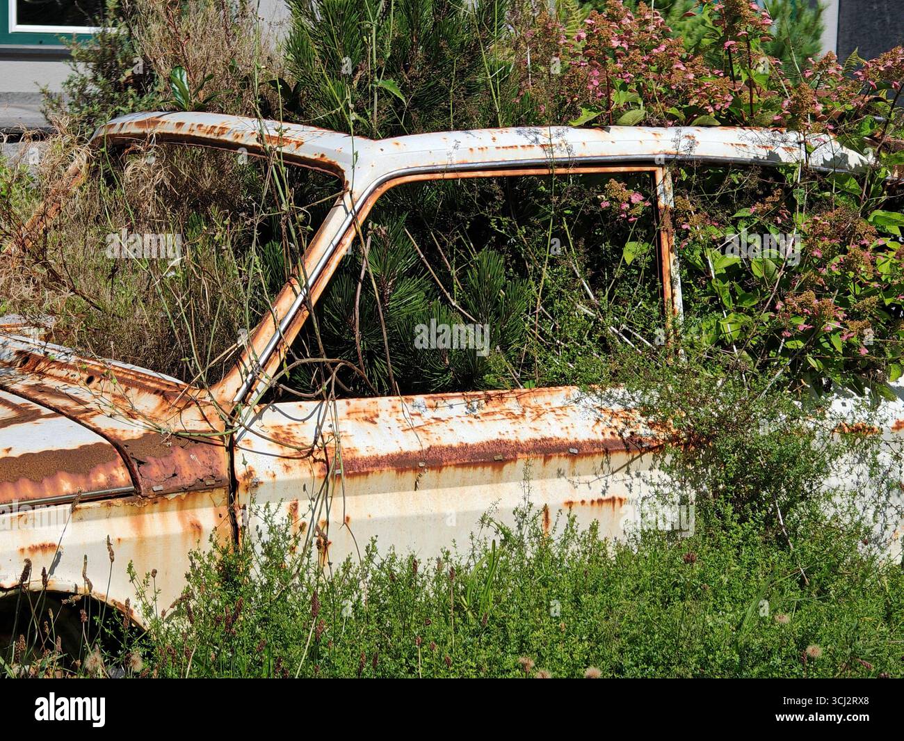 rust on the vehicle body, corrosion spots on the car rust on the ...