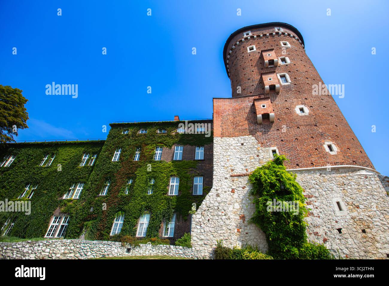 Krakow, Poland - August 19, 2025: Wawel Castle tower and an ivy-covered ...