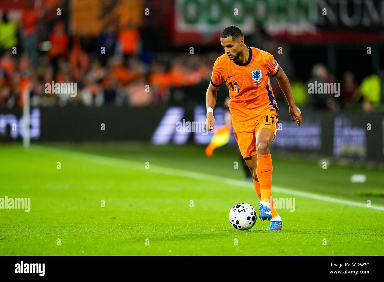 Rotterdam - Cody Gakpo of The Netherlands during the European ...