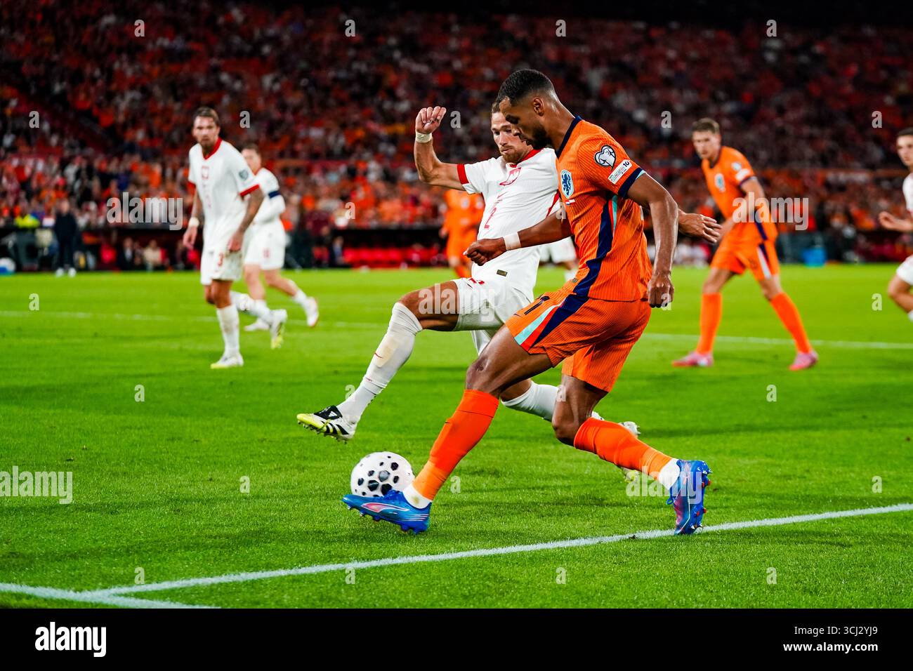 Rotterdam - Cody Gakpo of The Netherlands during the European ...