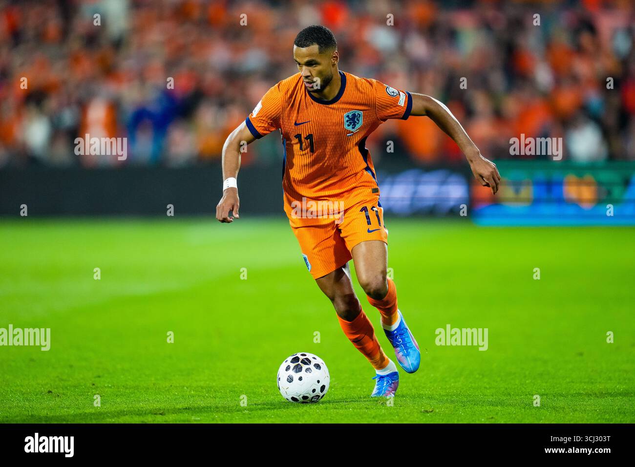 Rotterdam - Cody Gakpo of The Netherlands during the European ...