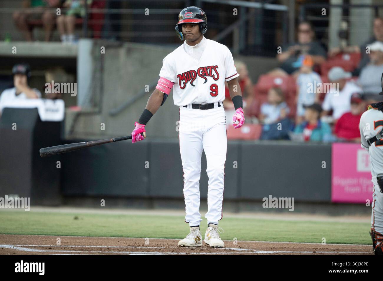 Braylon Payne (9) of the Carolina Mudcats at bat during a Carolina ...