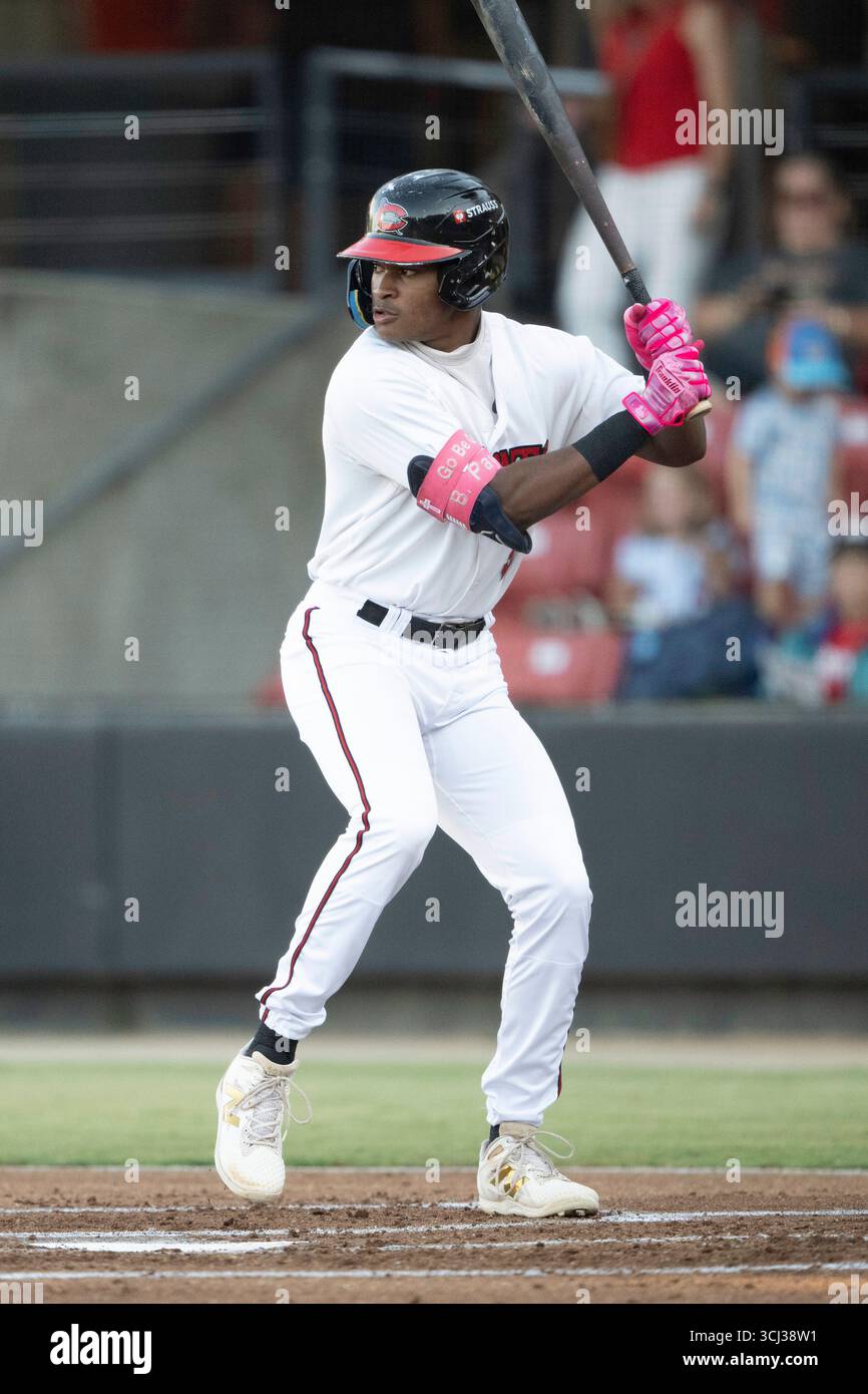 Braylon Payne (9) of the Carolina Mudcats at bat during a Carolina ...