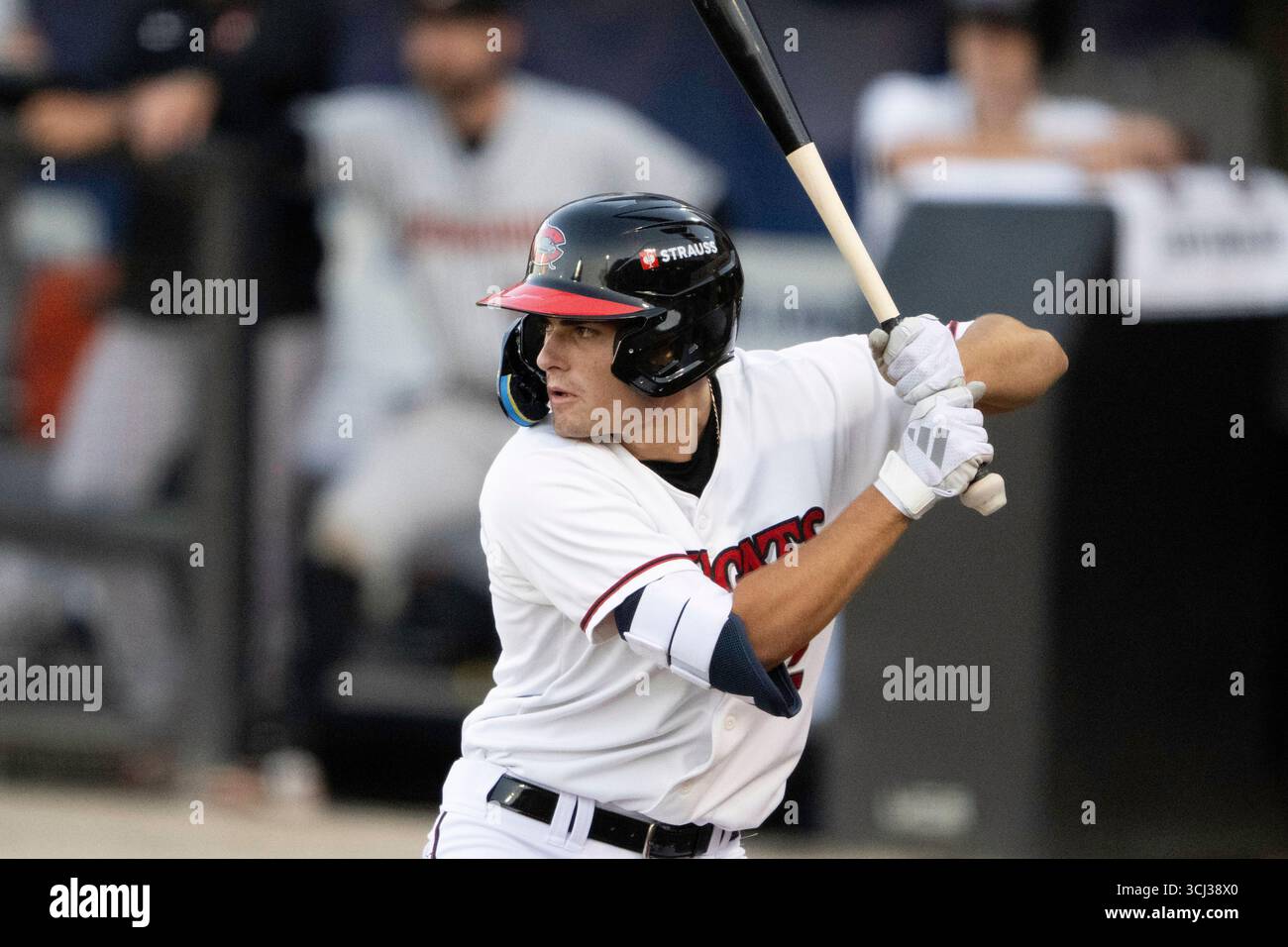 Brady Ebel (12) of the Carolina Mudcats at bat during a Carolina League ...