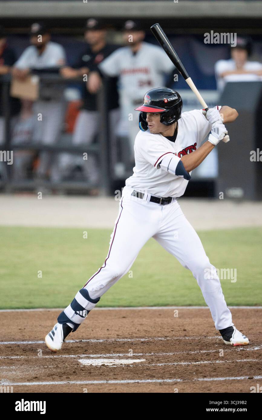 Brady Ebel (12) of the Carolina Mudcats at bat during a Carolina League ...