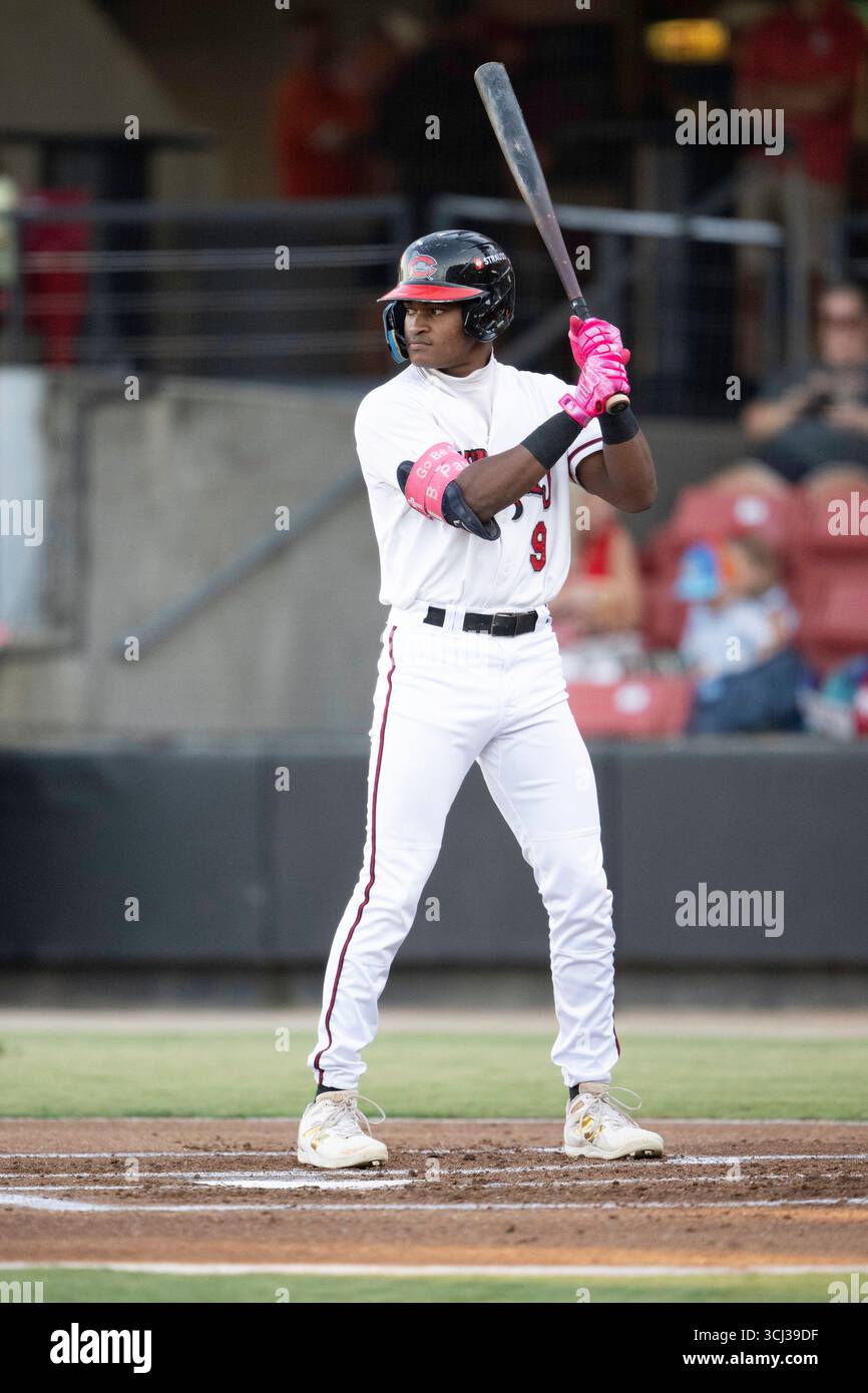 Braylon Payne (9) of the Carolina Mudcats at bat during a Carolina ...