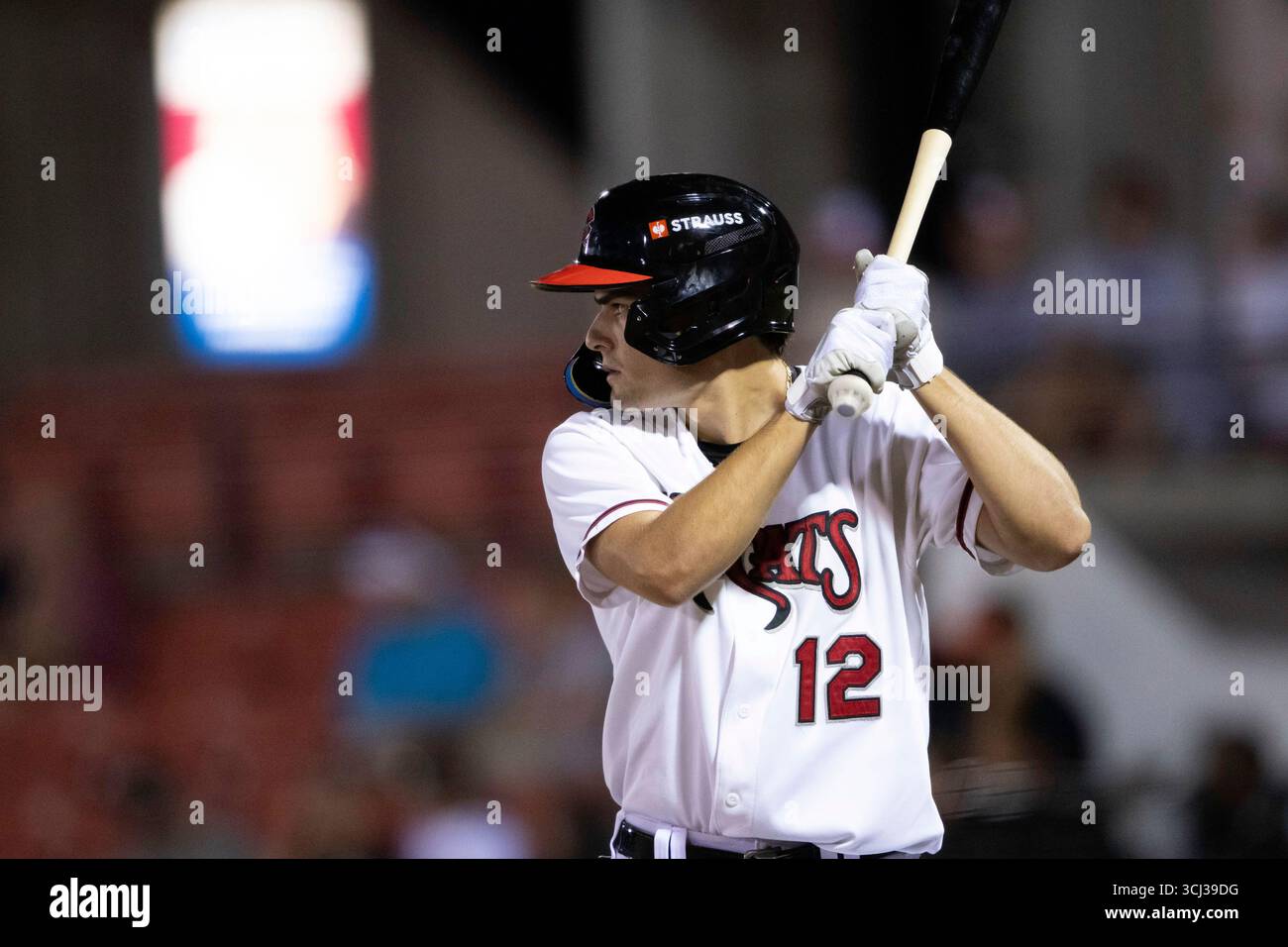 Brady Ebel (12) of the Carolina Mudcats at bat during a Carolina League ...