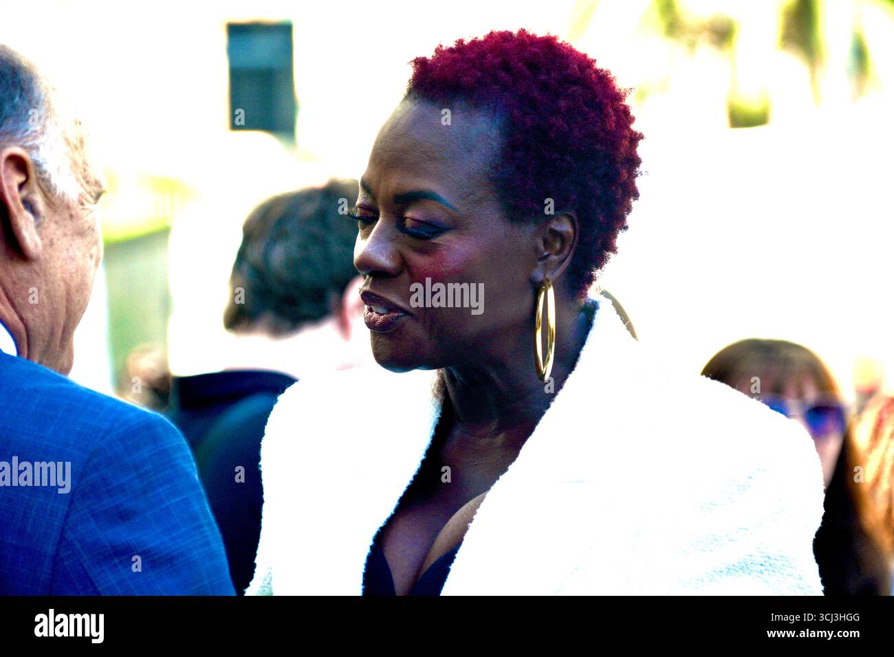 Actress Viola Davis is seen with Hollywood Chamber of Commerce ...