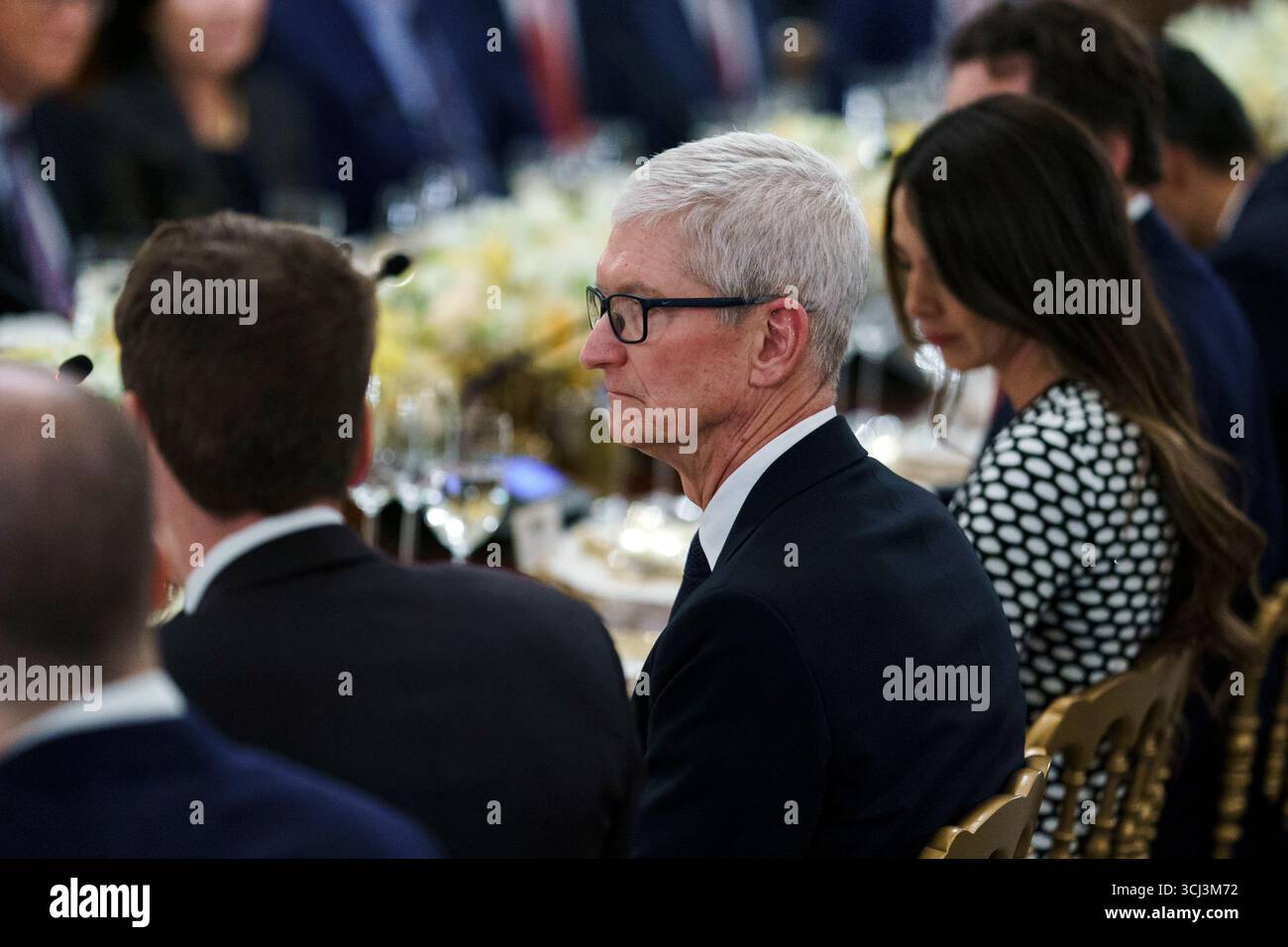 Tim Cook, CEO of Apple during a dinner hosted by US President Donald ...