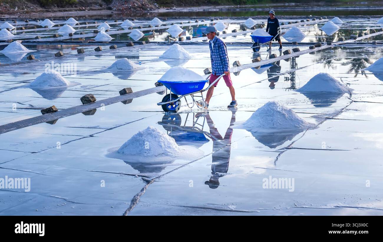 The salt fields at sunset are beautiful, reflecting the sky onto the ...