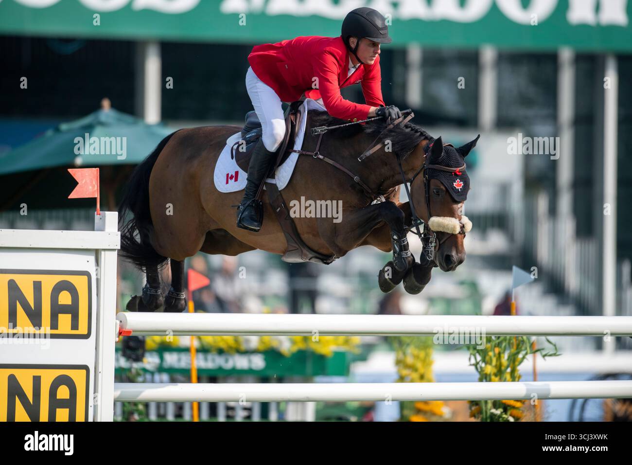 Sean jobin hi-res stock photography and images - Alamy