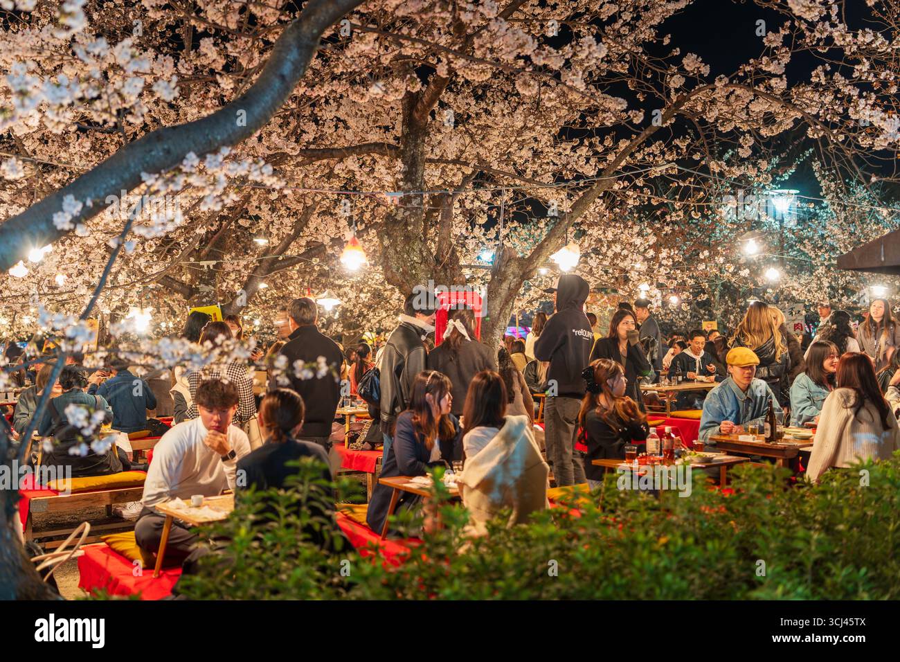 Higashiyama, Kyoto, Japan. People enjoying hanami at crowded outdoor ...