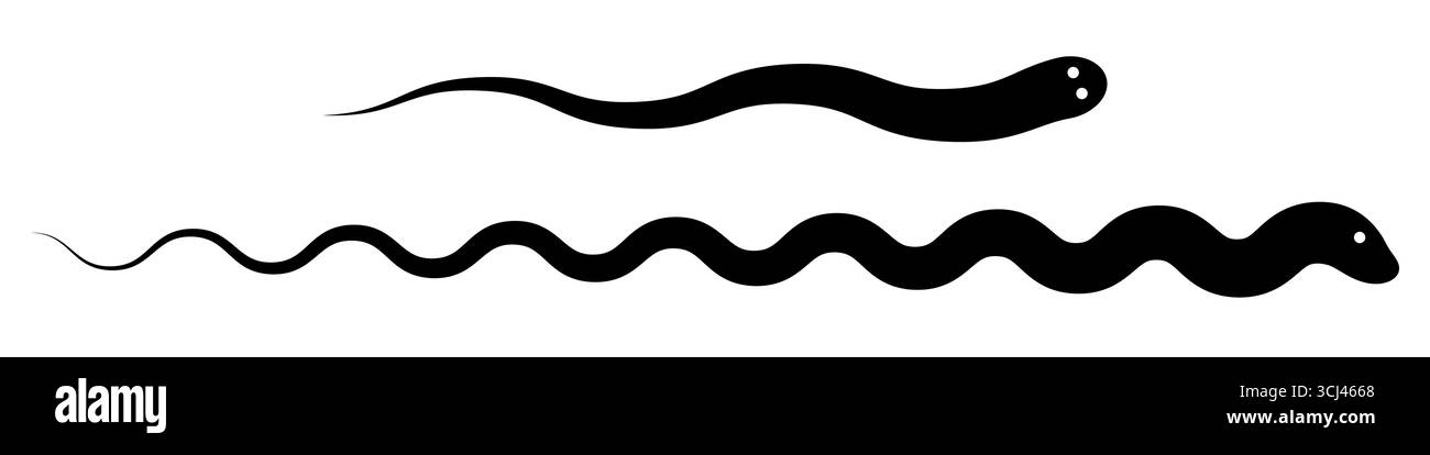 Two snakes with eyes, short and long. Flat vector illustration isolated ...