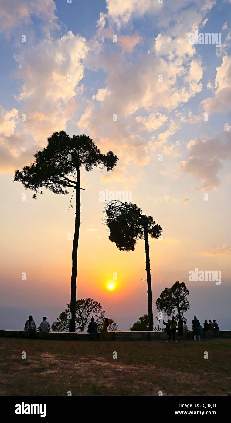 Majestic sunset over Kasar Devi hill featuring an exquisite tree ...