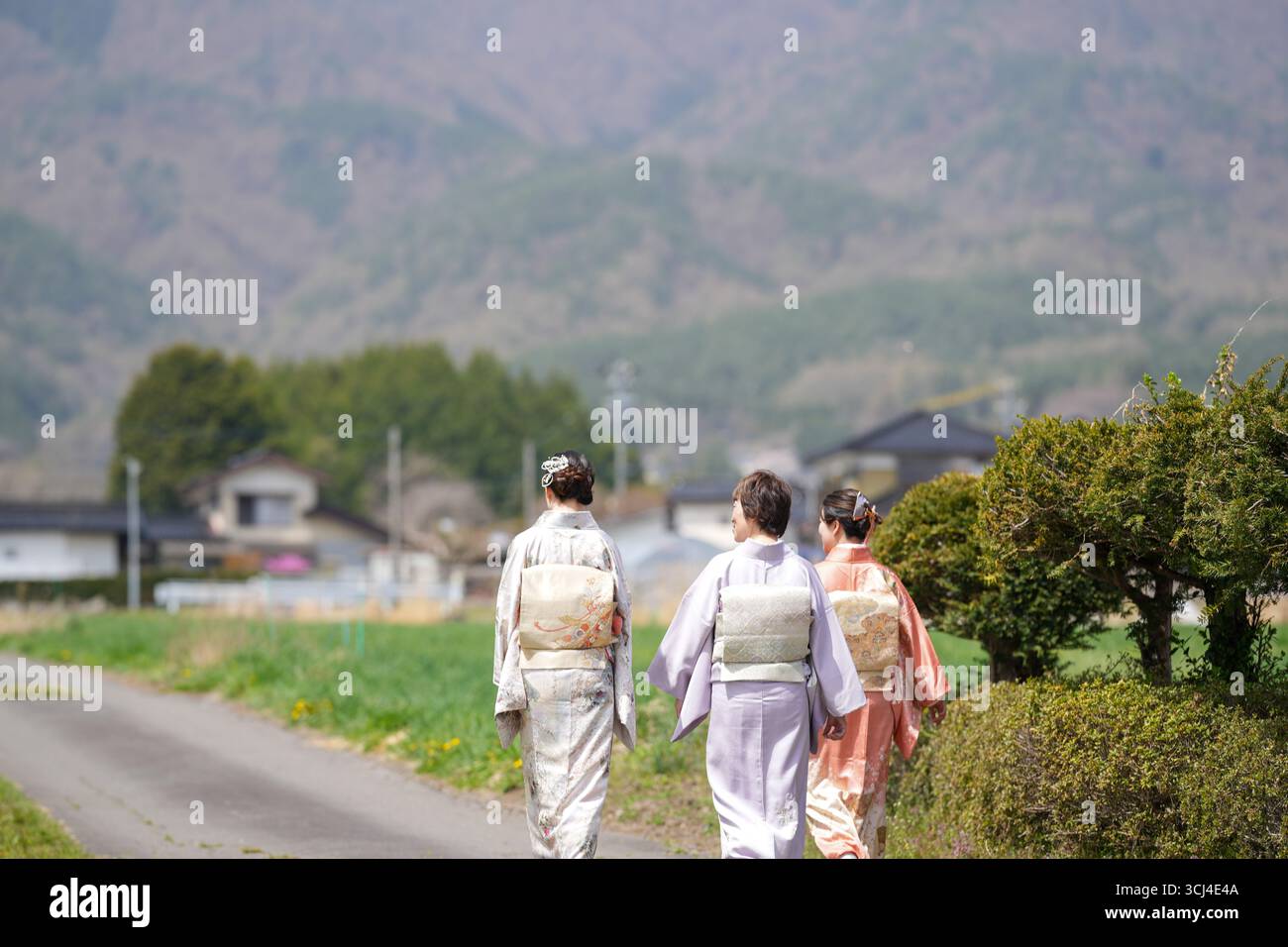 Three women in traditional Japanese clothing walk down a road. The ...