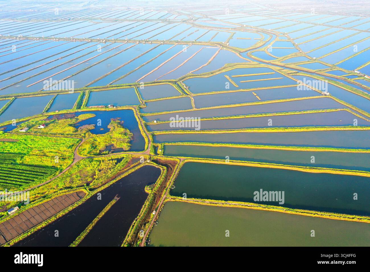 Aerial photo shows the marine aquaculture area in Qingdao City, east ...