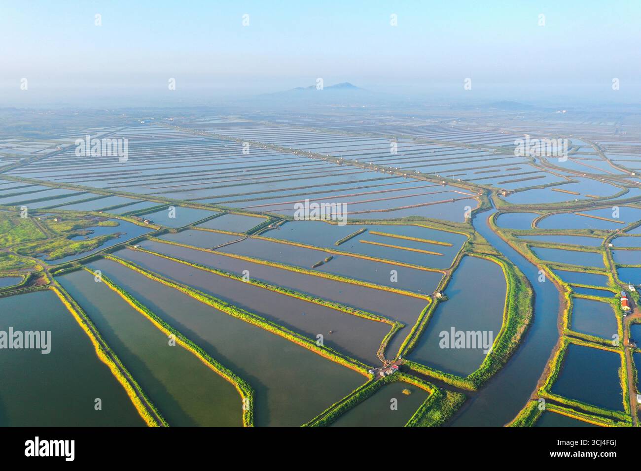 Aerial photo shows the marine aquaculture area in Qingdao City, east ...