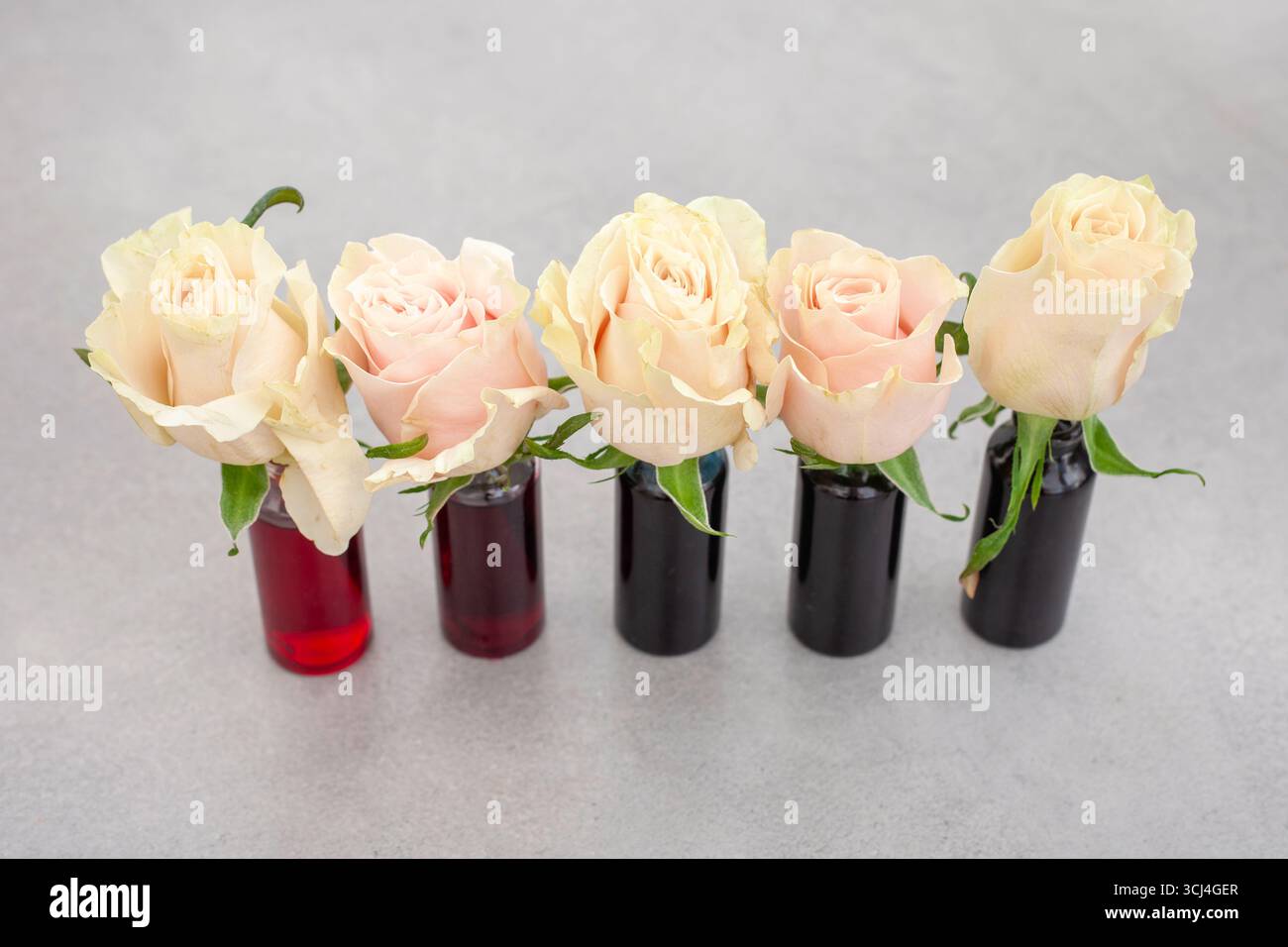 five bottles of food coloring of various colors and roses placed in ...