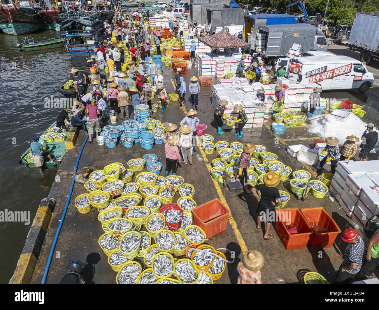 Fishermen unload fish at a dock in Qionghai City, southernmost China's ...