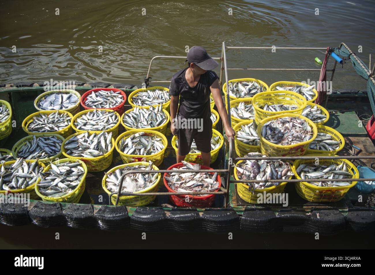 Fishermen unload fish at a dock in Qionghai City, southernmost China's ...