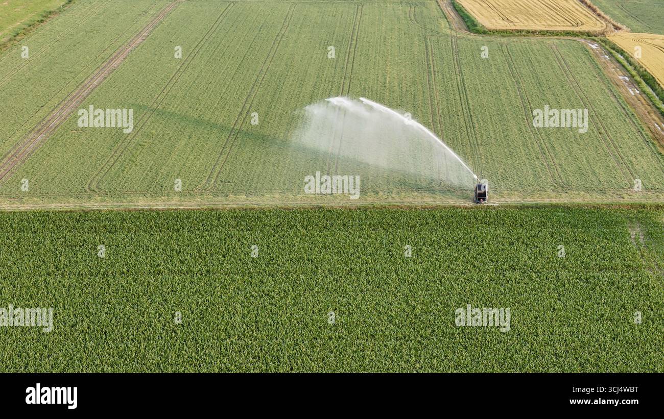 Irrigation system watering soybeans during springtime in the fertile Po ...