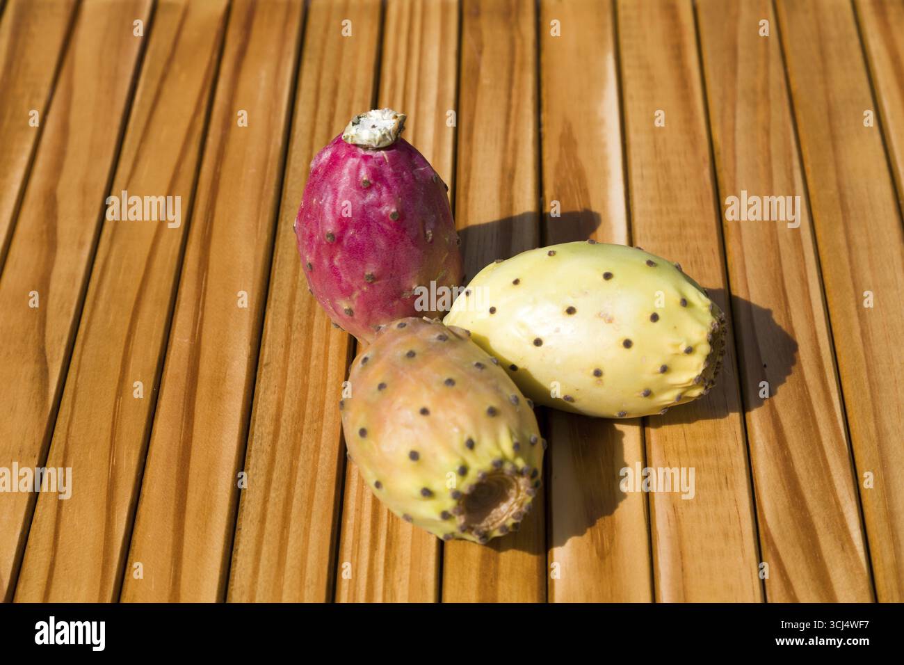 Prickly pear in full hi-res stock photography and images - Alamy