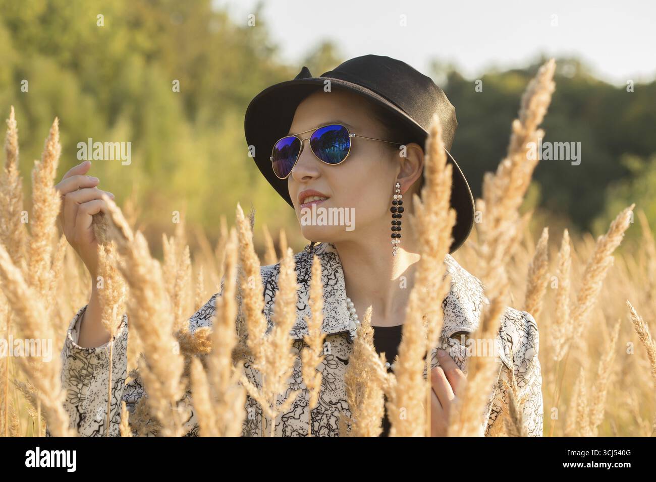 Attractive young luxury woman walking at autumn dry grass Stock Photo ...