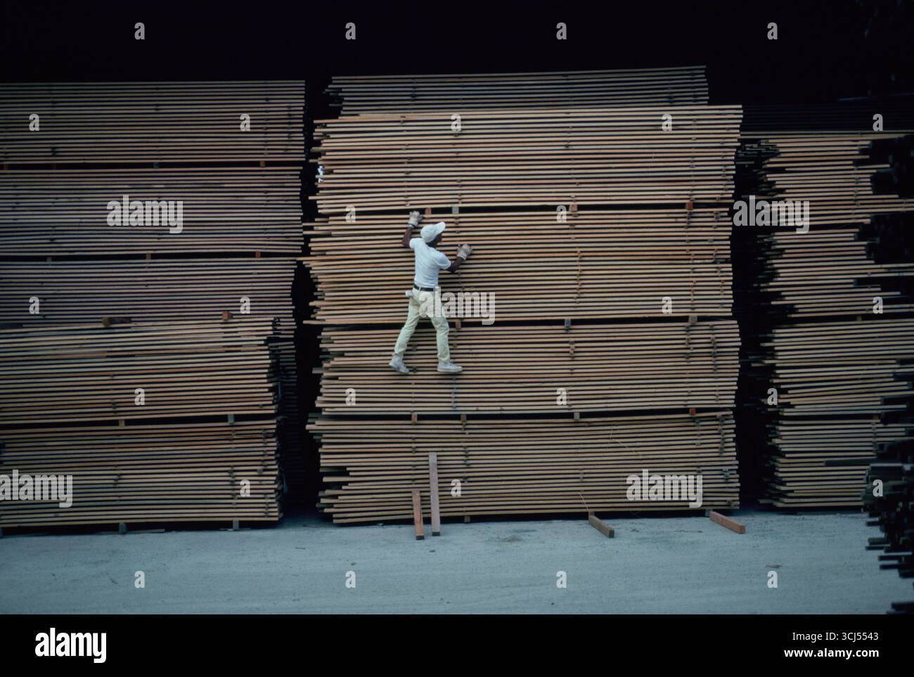 Stacking boards in a wood mill Stock Photo - Alamy