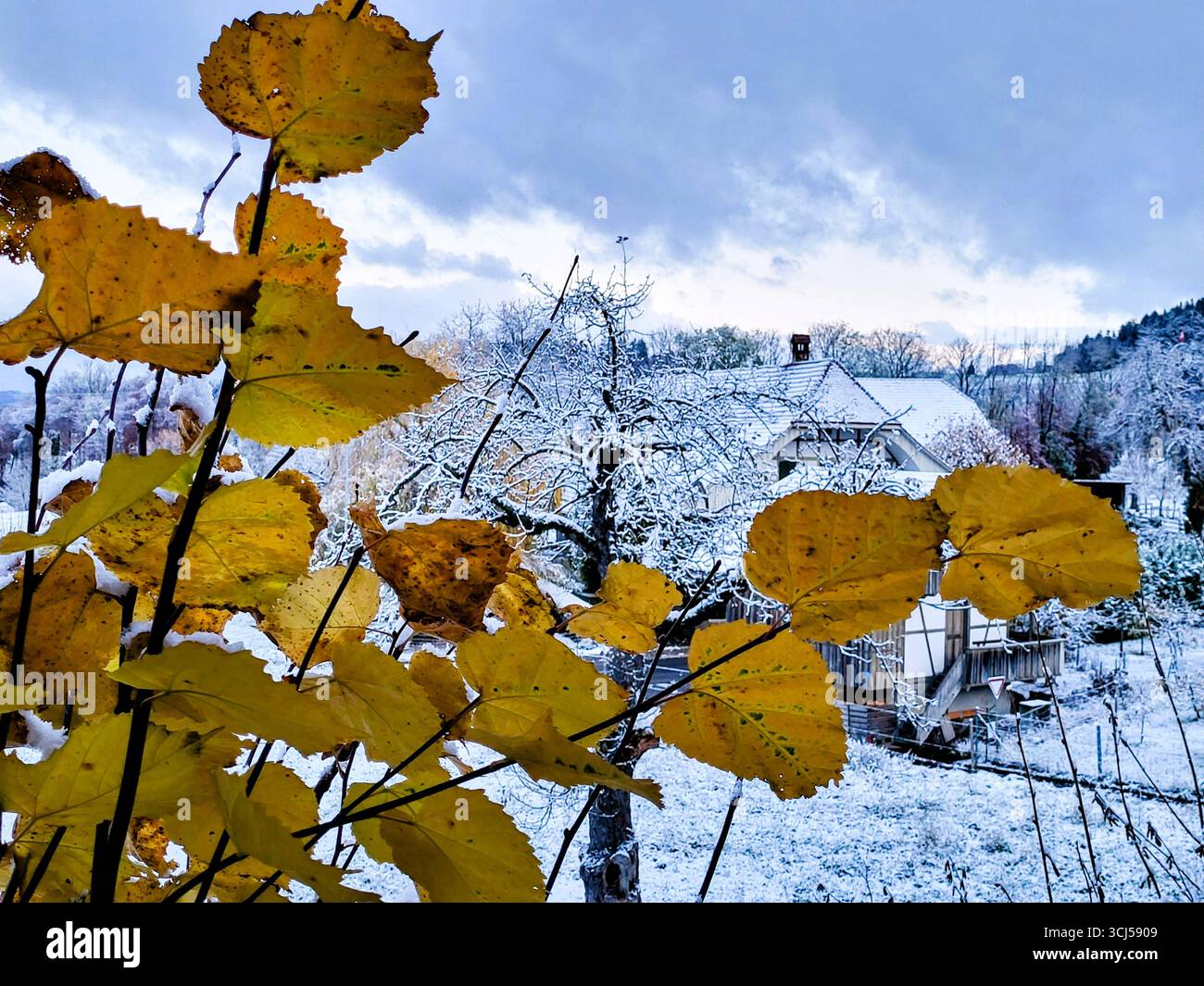 Scenic winter landscape showing early snowfall in autumn, with bright ...