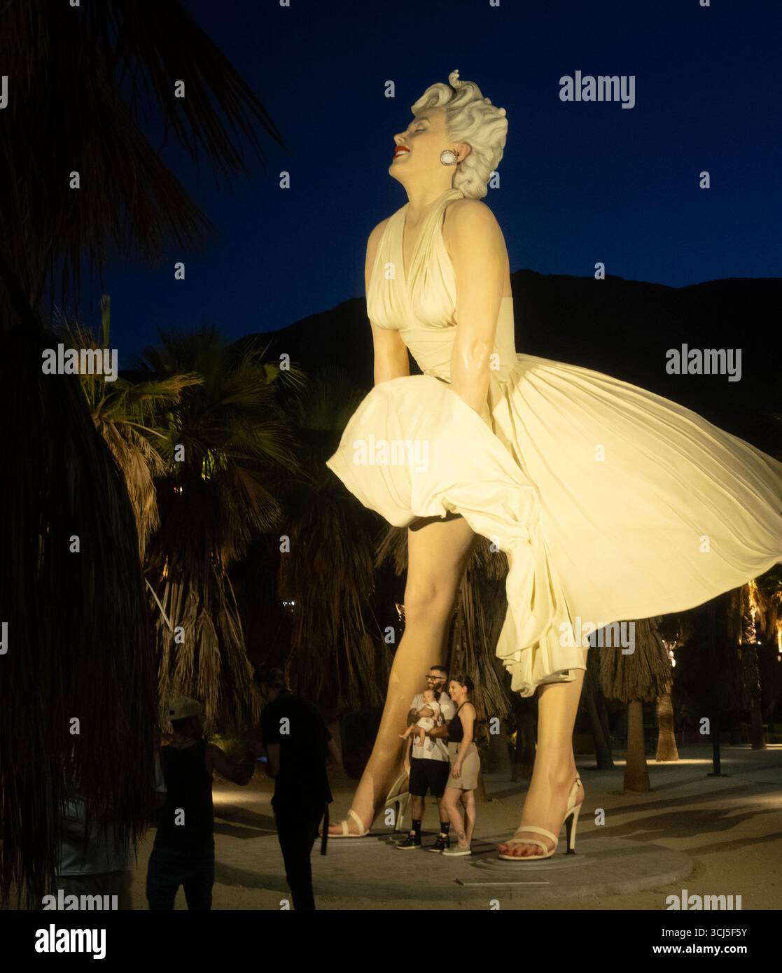 Palm springs california icon hi-res stock photography and images - Alamy