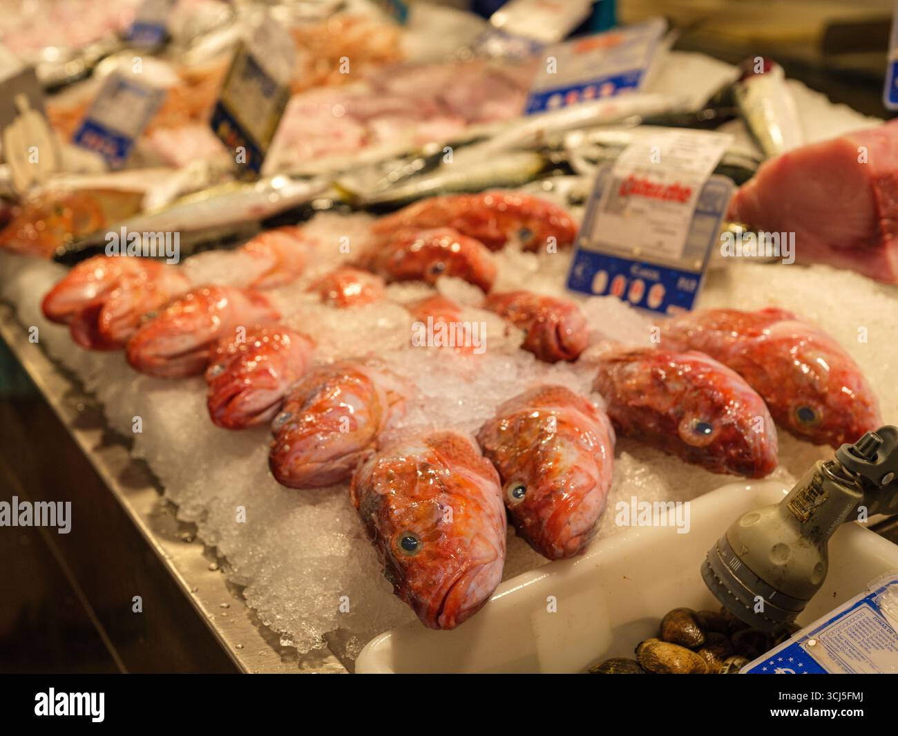 Cadiz, Spain, 26 Aug 2025. Fresh fish and seafood on display at Mercado ...