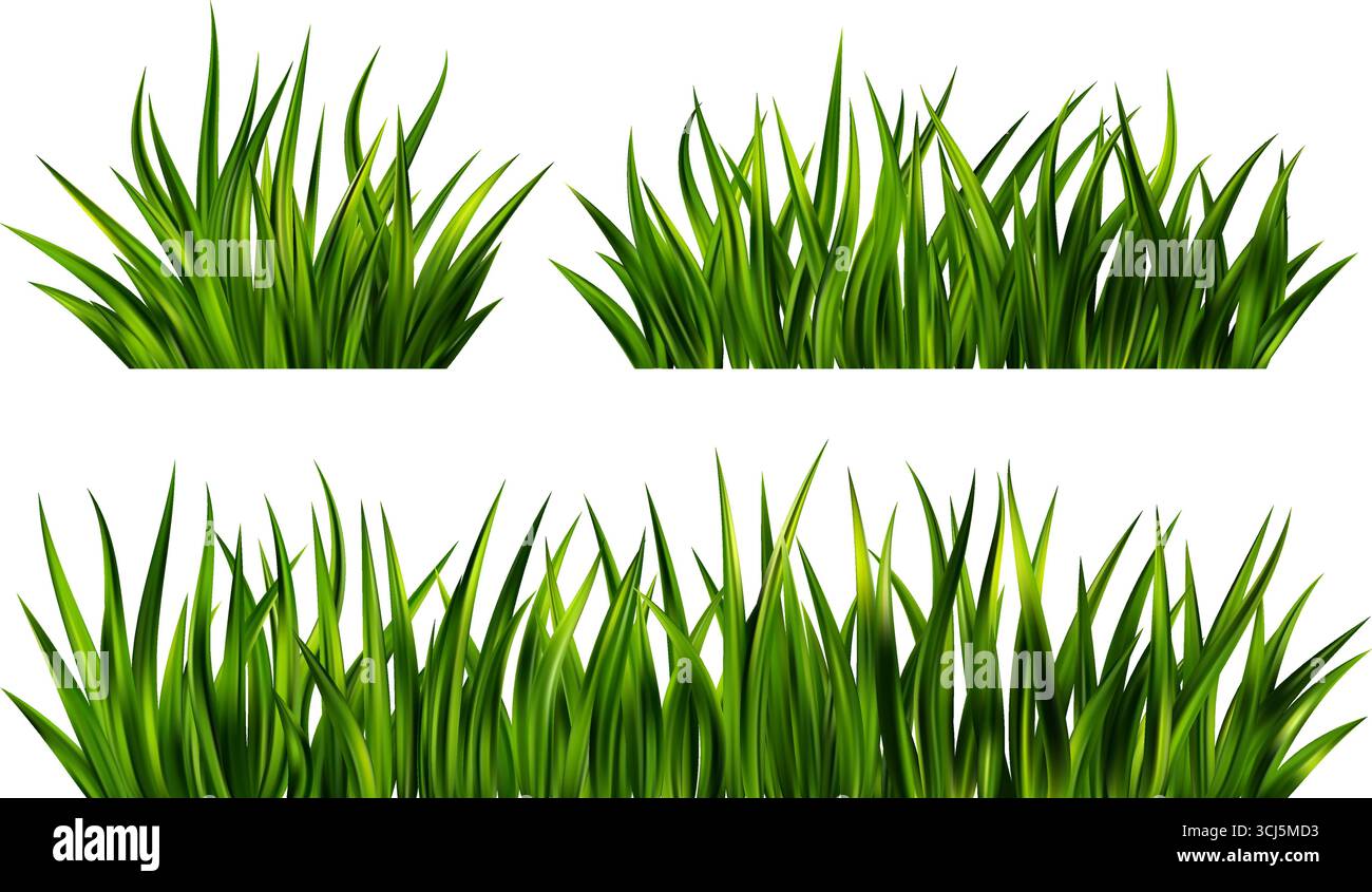 Long vegetation Cut Out Stock Images & Pictures - Alamy