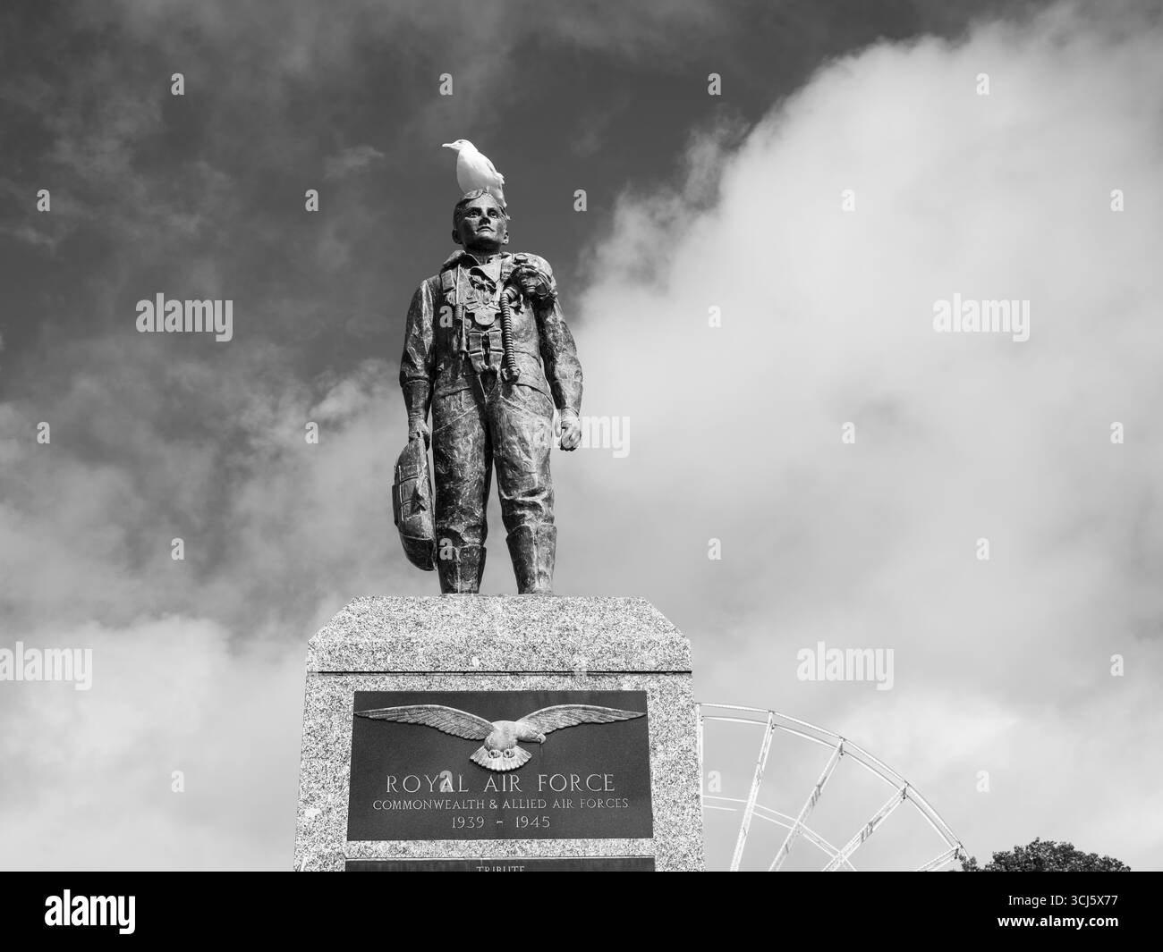 STATUE OF HERN JAMES WITH SEAGULL ON HEAD PLYMOUTH CITY THE HOE SMEATON’S LIGHTHOUSE SIR FRANCIS ...